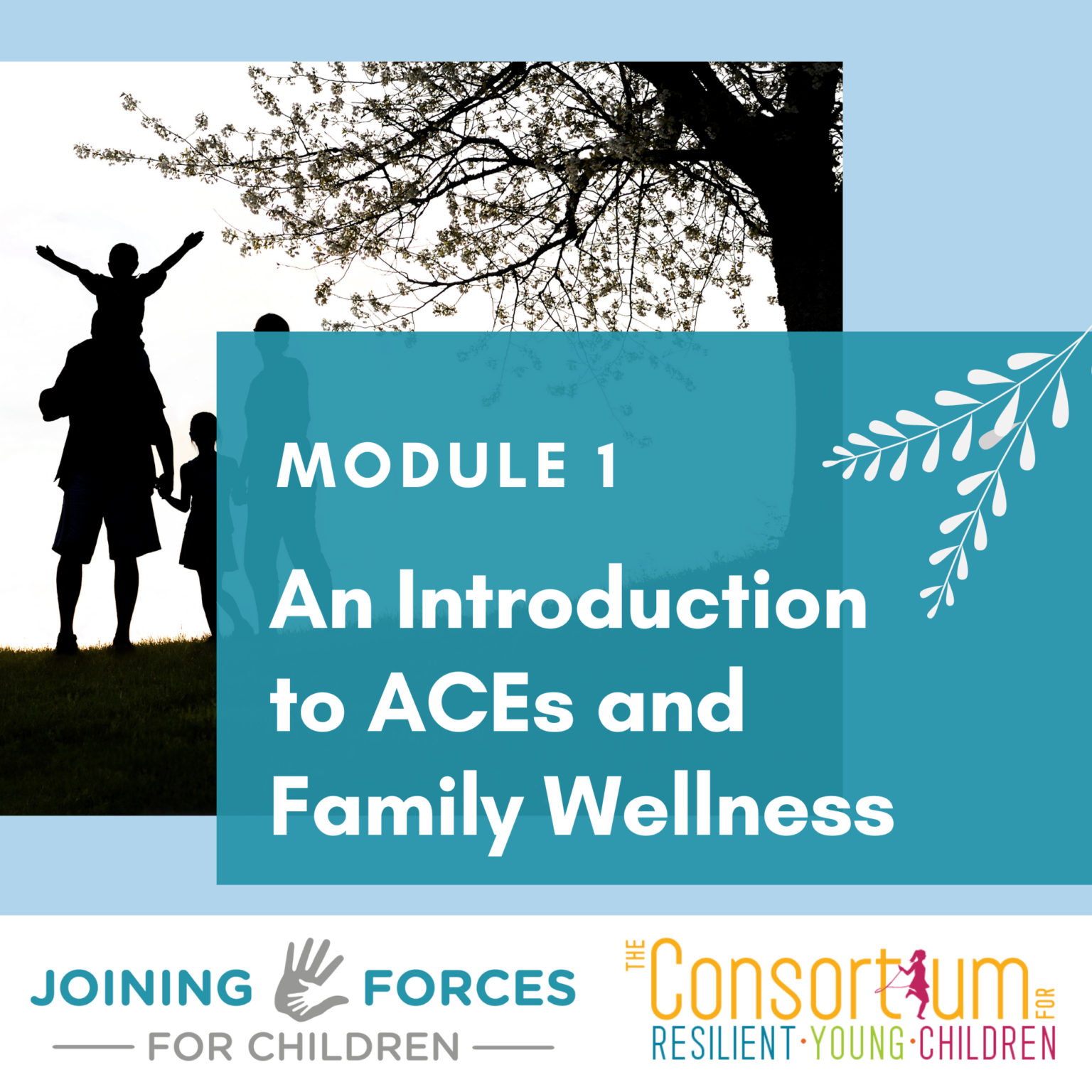 An Introduction to ACES and Family Wellness – Growing Resilient Families